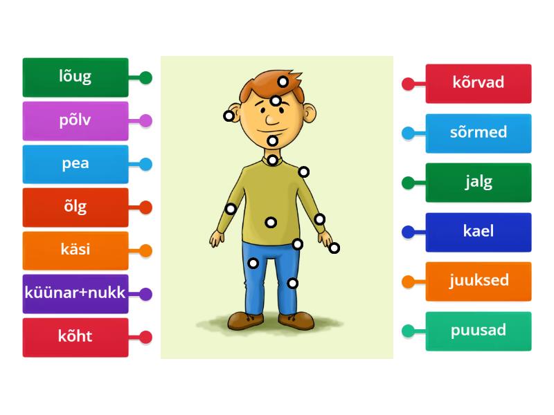 Inimese keha - Labelled diagram