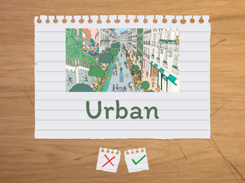 Time to Climb- Scholastic Article - Flash cards