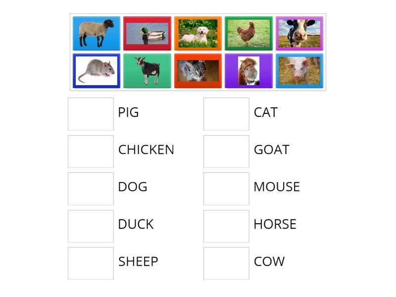 WowRed Farm Animals - Match up