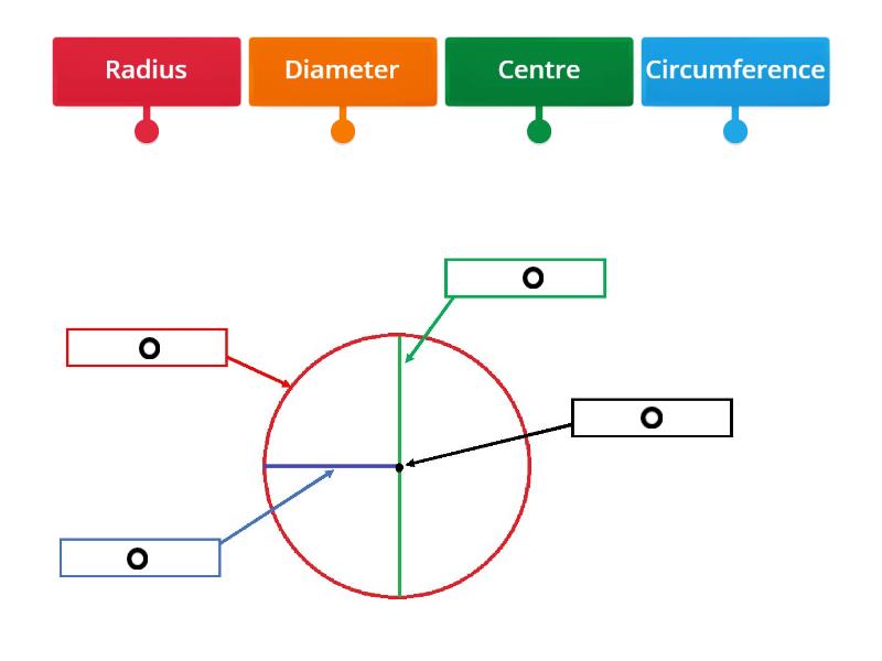 Label Parts of a Circle - Labelled diagram