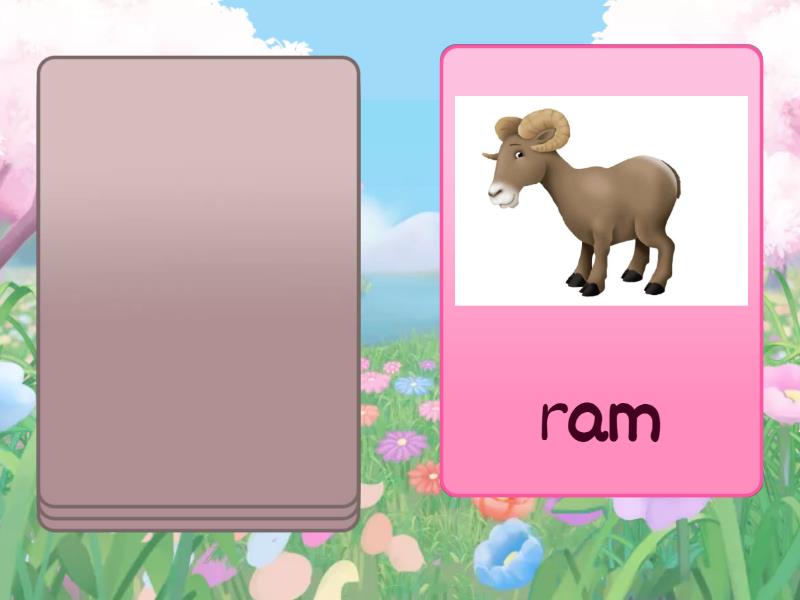 OPW 2 Unit 1 'am' - Speaking cards