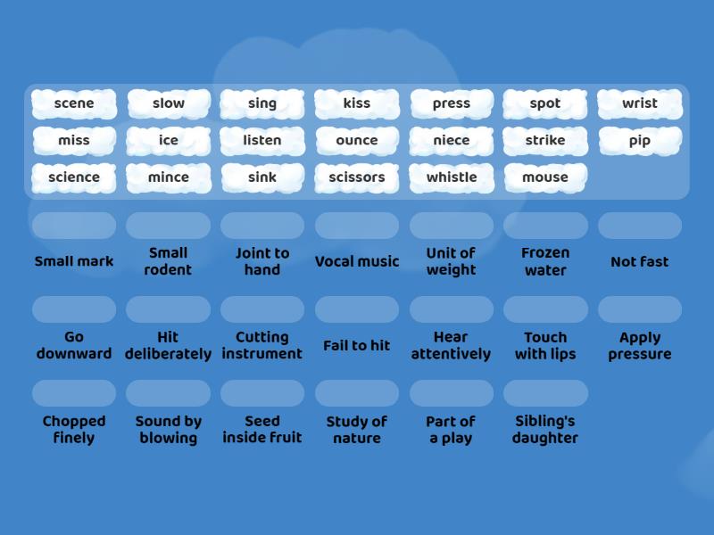 Word-Definition Match- 's' sounds - Match up
