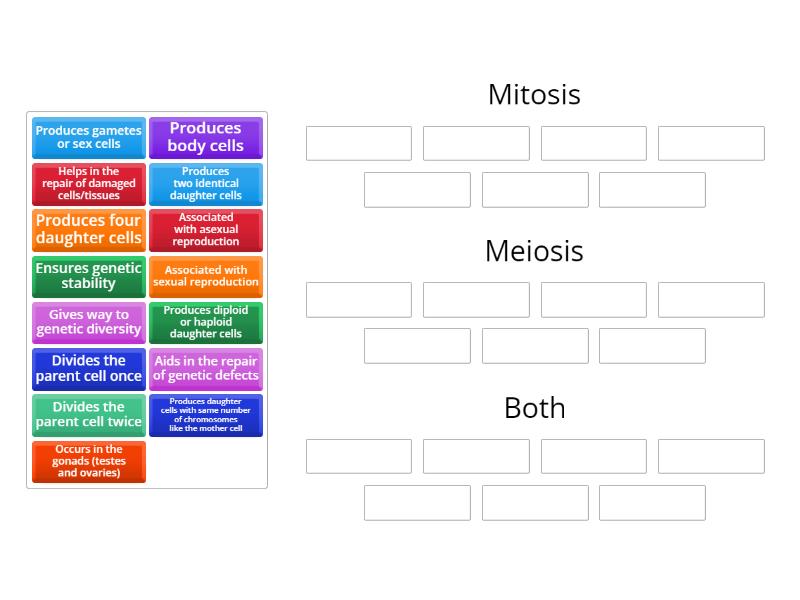 ACTIVITY 5 MITOSIS VS. MEIOSIS CHECKMARK ACTIVITY - Group sort
