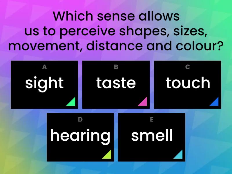 U1_The five senses and the brain - Quiz
