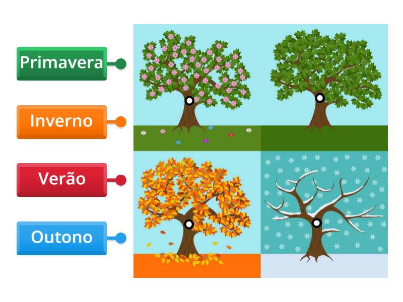 Estações do ano - Labelled diagram