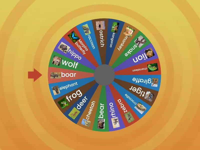 Wild animals - Spin the wheel