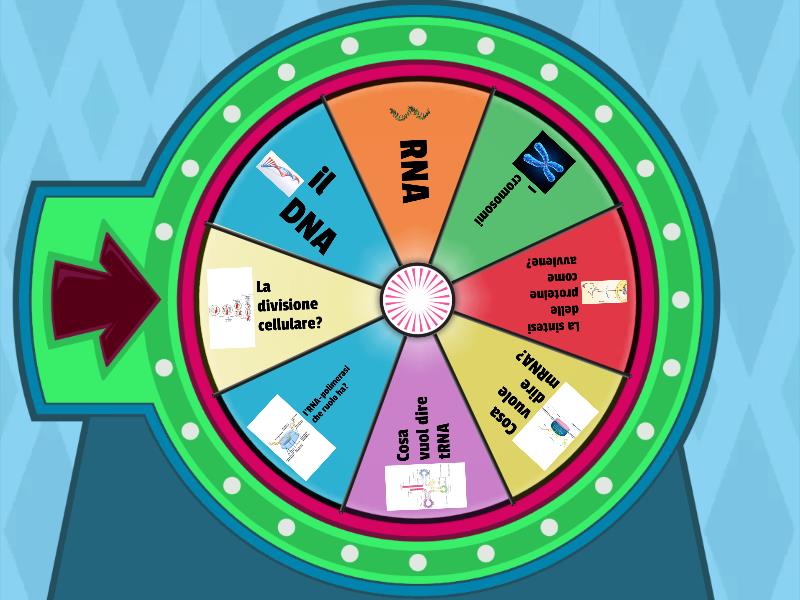 Il DNA - Spin the wheel
