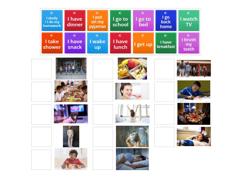 daily routine - Match up