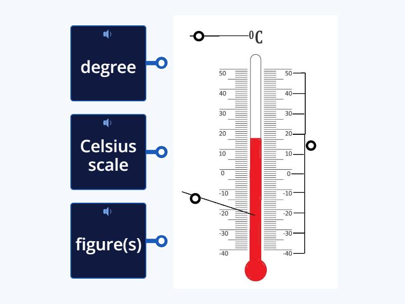 Label the parts of thermometer - Diagrama con etiquetas