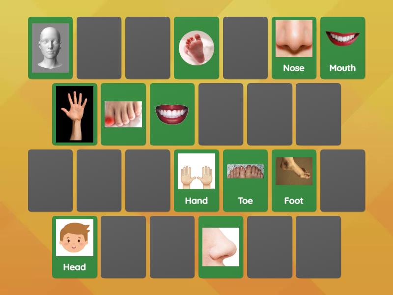 Memory Game - body parts - Parejas