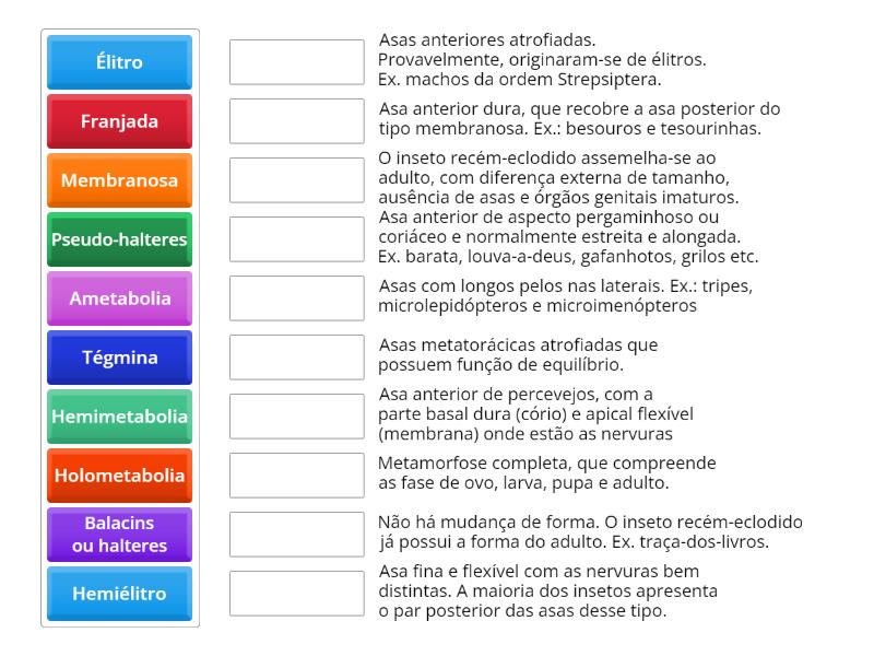 Tipos de Asas e metarmofoses - Une las parejas
