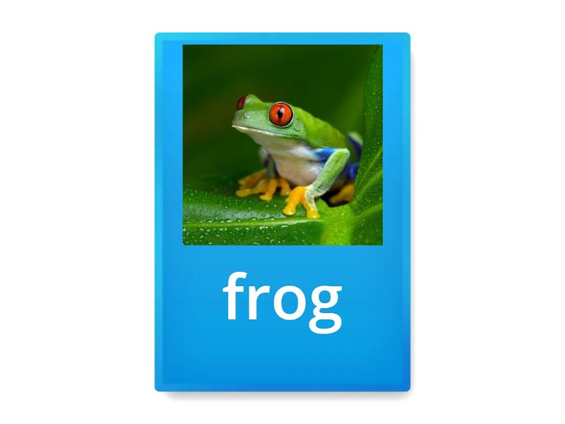 Phonics fr- - Flash cards