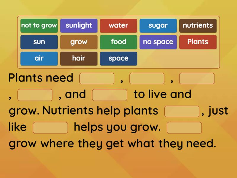 Science - Plants - Complete the sentence