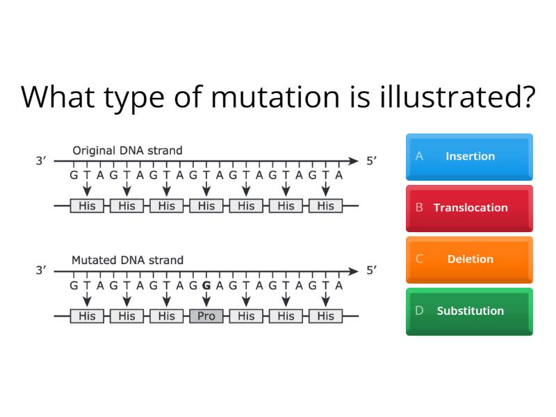 Identifying Mutations Practice - Quiz
