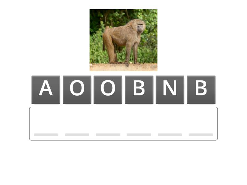 STEP 3: ANIMALS IN SOUTH AFRICA - Anagrama