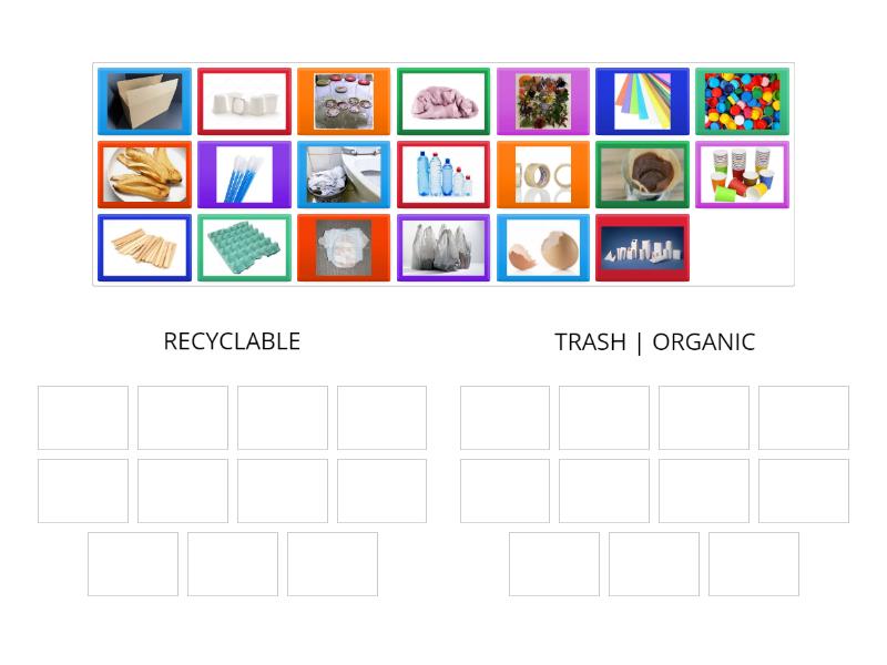 CLASSIFYING RECYCLABLES, TRASH, AND ORGANIC TRASH - Group sort