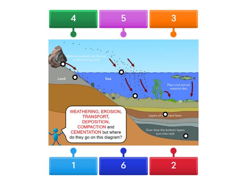 Sedimentary Rocks Formation - Labelled diagram