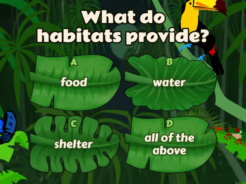 Habitats - Quiz