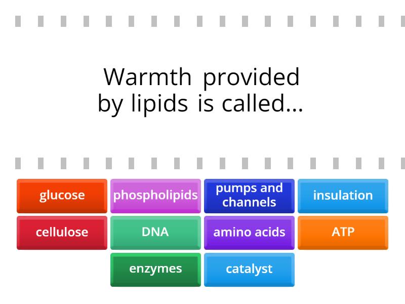Macromolecule Structure & Function Vocabulary - Find the match
