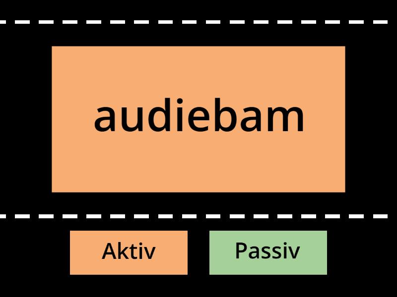Lektion 040 Verben Passiv (Imperfekt) i-Konjugation - True or false