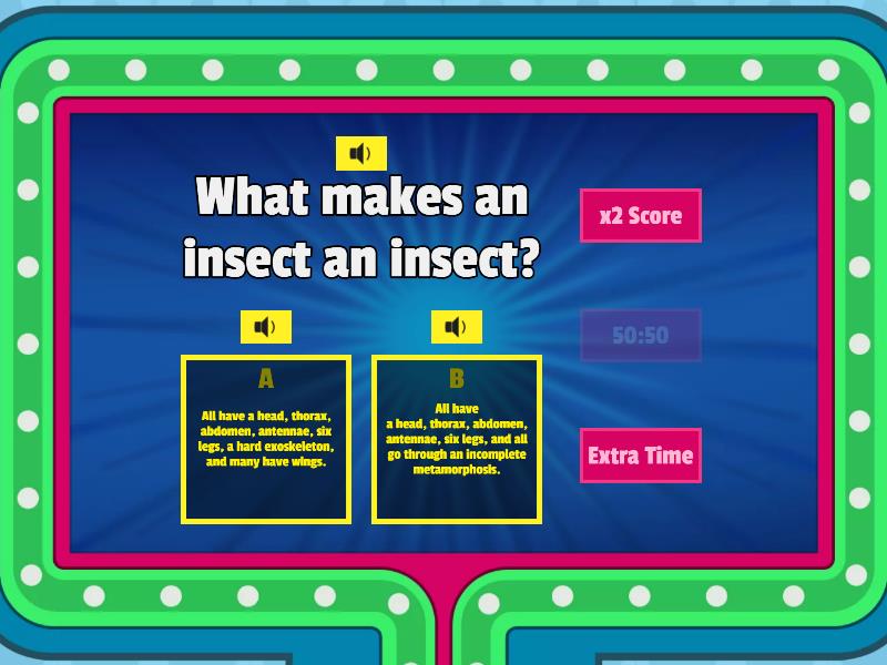 Kn. 7, Lesson 7: Armored Tanks of the Insect World - Gameshow quiz