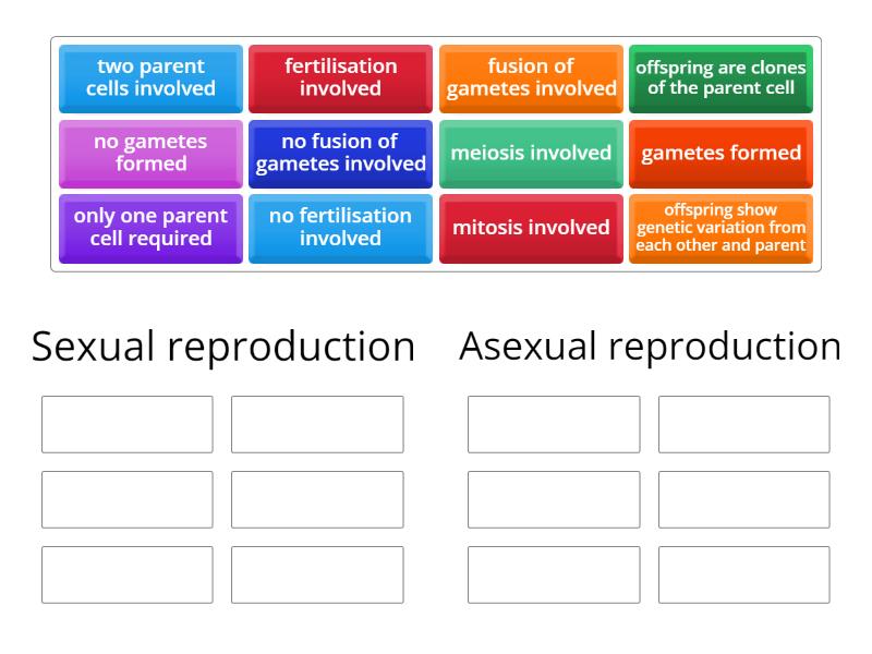 Sexual and asexual reproduction - Group sort