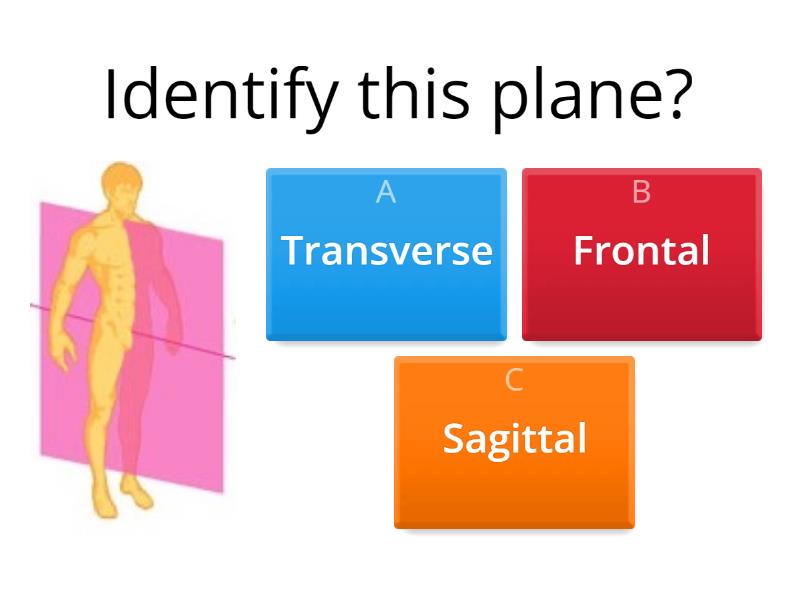 Planes of Movement - Quiz