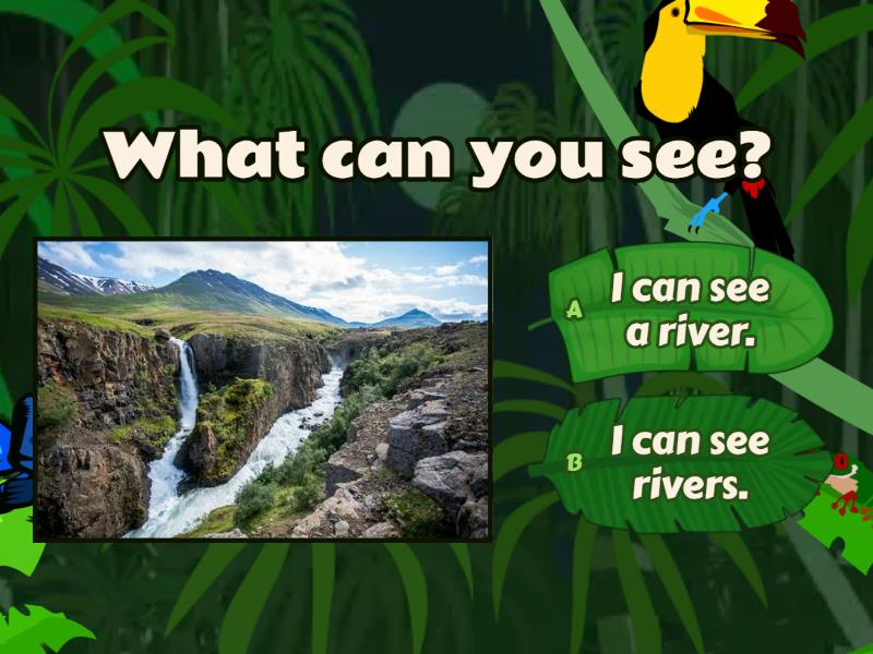 Nature - What can you see ...? - Quiz