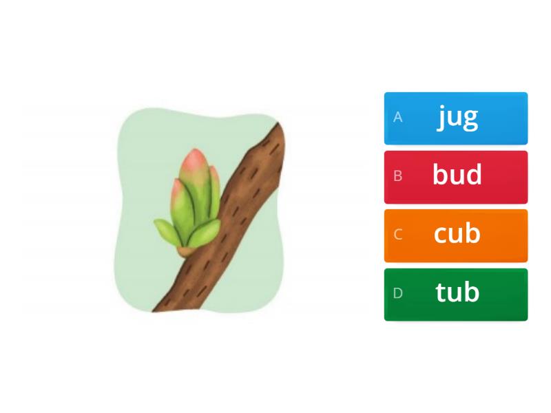 Oxford Phonics short u - Quiz