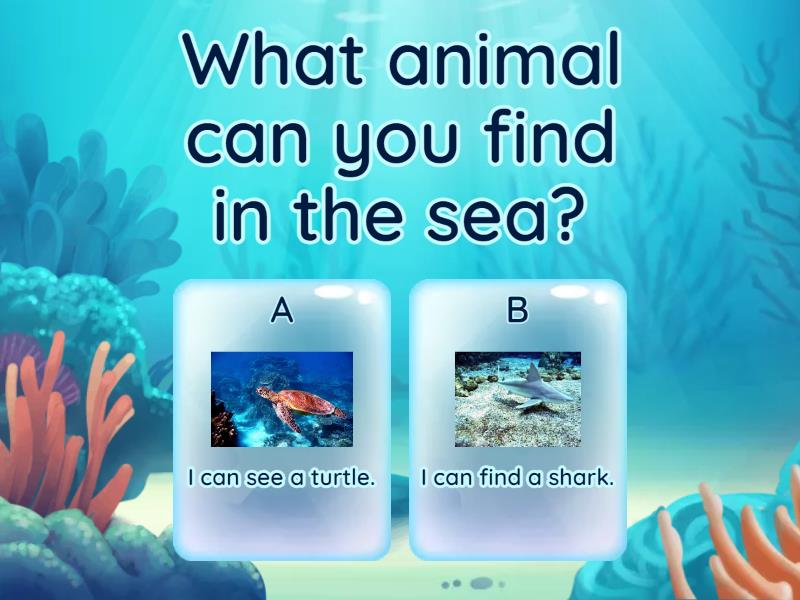 sea animals - Quiz
