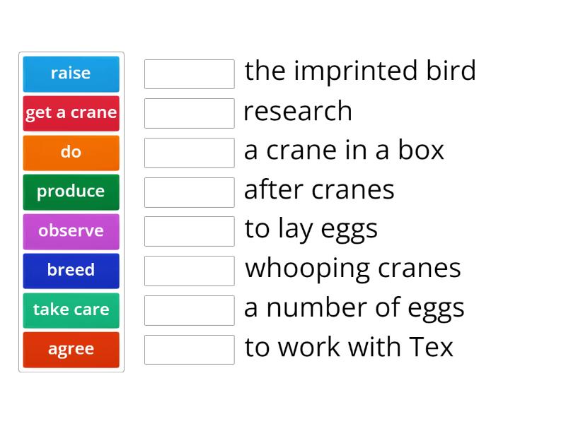 Tex and George Verb Phrases - Match up