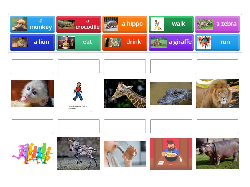unit 8 animals - Match up