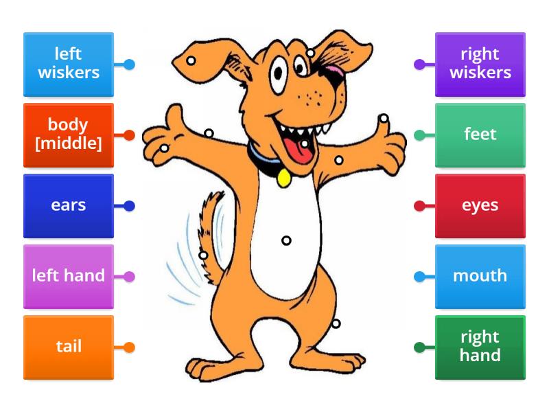 Dog body parts - Labelled diagram