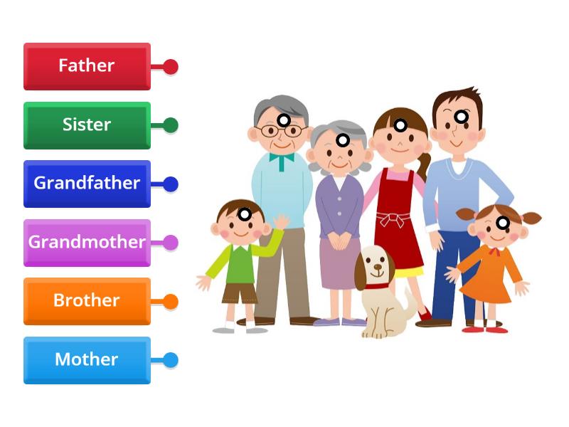 Family 3 - Labelled diagram