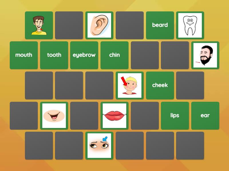 PARTS OF THE FACE memory (16 words) - Matching pairs