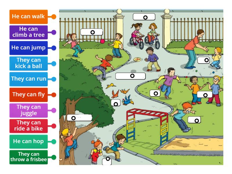 What can they do? - Labelled diagram