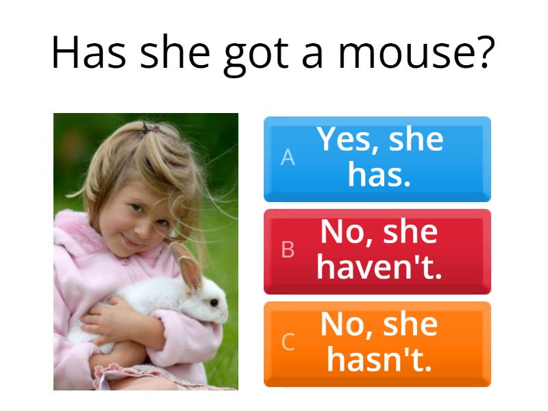 have got / has got: short answers - Quiz
