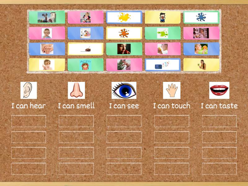 Hear, smell, taste, touch, see - Group sort