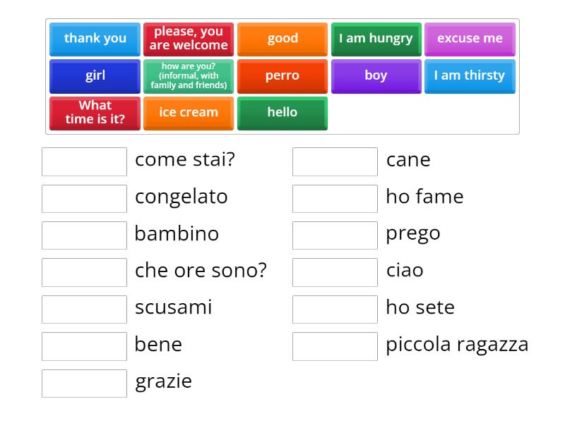 Useful Italian Words and Terms - Match up