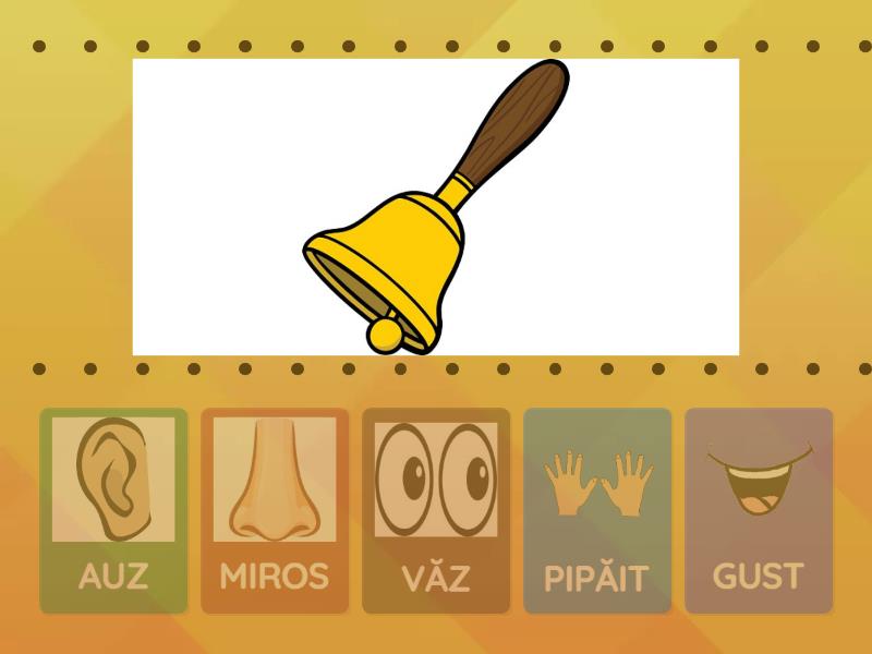 Cele 5 simțuri - Find the match