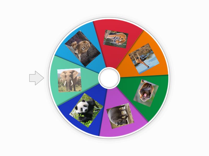 Zoo Animals Spin - Spin the wheel
