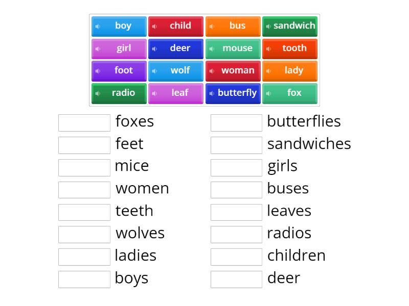 Plurals of countable nouns - Match up