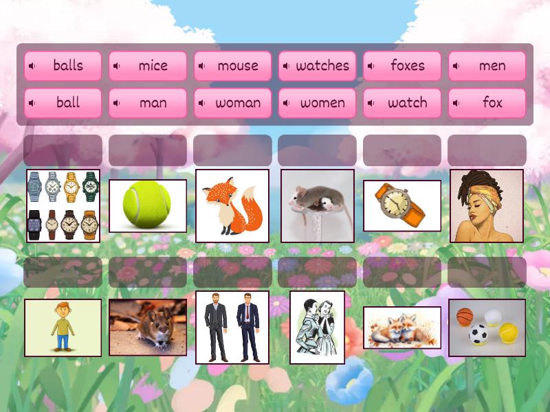 plurals - Match up