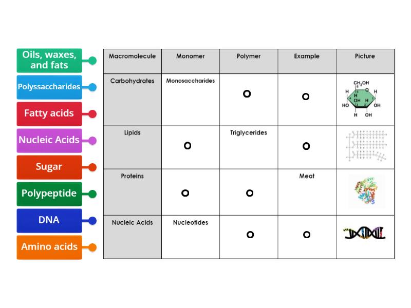 Organic Compounds PKC - Labelled diagram