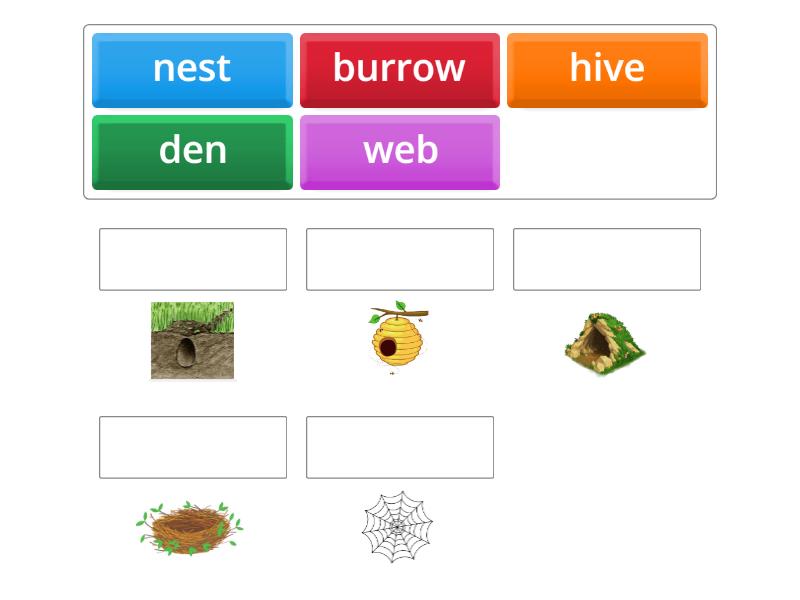 Animal homes - Match up