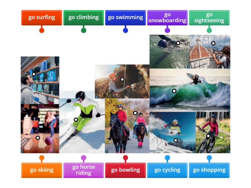 SO A1 - Labelled diagram