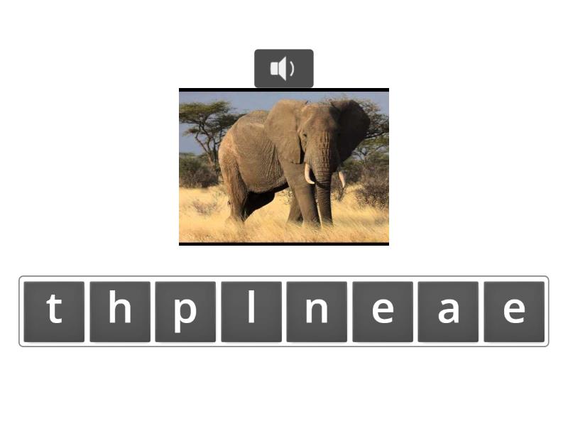 Unit 6 My five senses - Anagrama