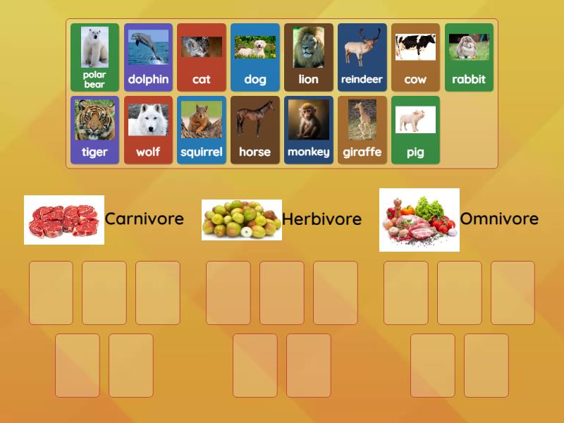 Carnivore, Herbivore or Omnivore? - Group sort