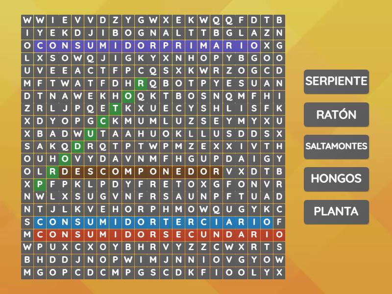 CADENA ALIMENTICIA - Sopa de letras