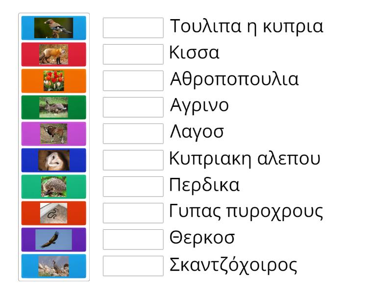 Περικλης και Θεοδουλοσ - Match up